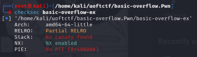 basic-overflow | TheStrayπrate