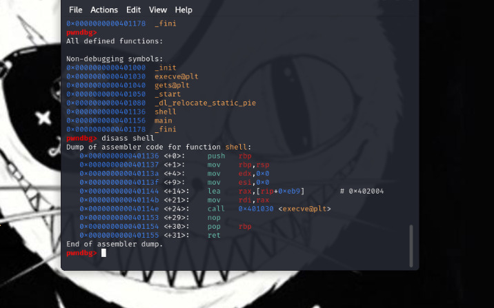 basic-overflow | TheStrayπrate