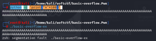 basic-overflow | TheStrayπrate